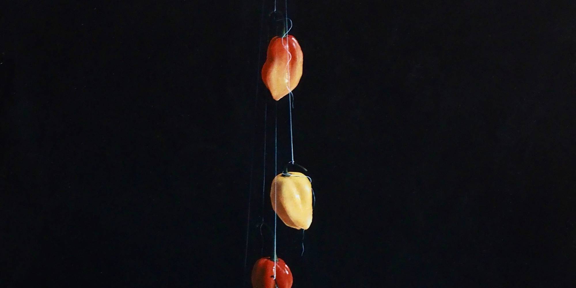 David Gleeson | Wimbledon Fine Art