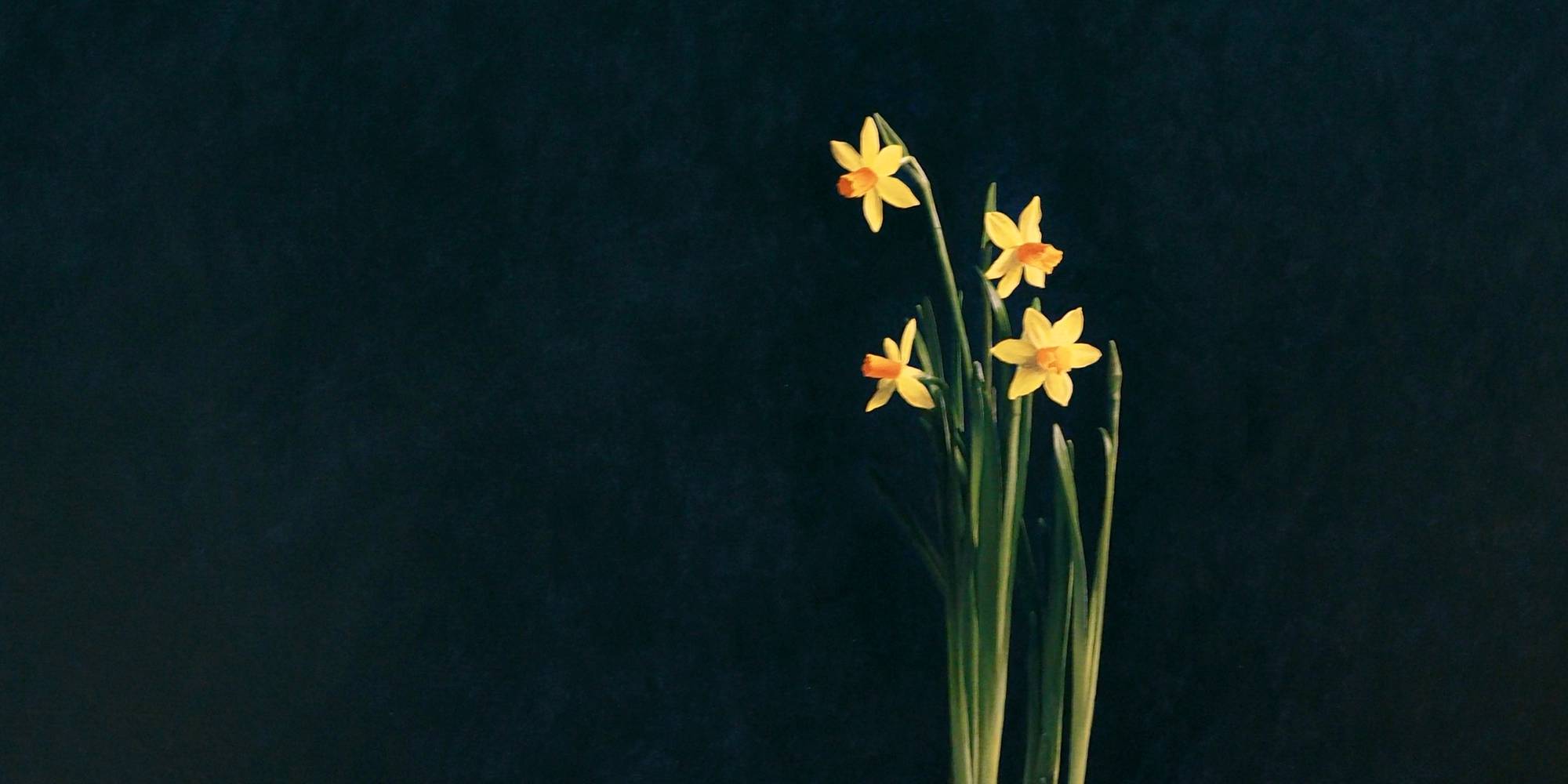 David Gleeson | Wimbledon Fine Art